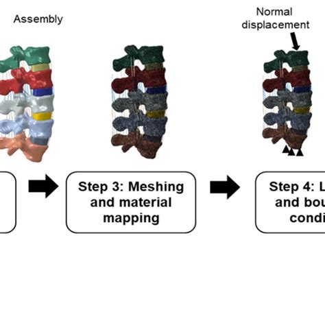 Schematic Representation Of The Five Step Modeling Methodology Used In