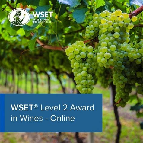 Online Wset Level 2 Award In Wines Evenings Sussex Local Wine School Wine Tasting