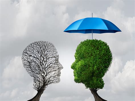 Age Related Brain Decline Dr Ronald Hoffman