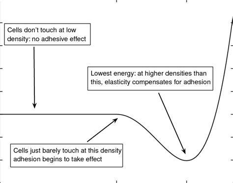 Potential Energy Function E T Download Scientific Diagram
