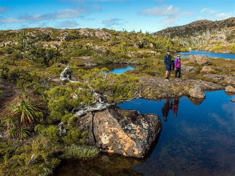Tarn Shelf Nature And Wildlife Discover Tasmania