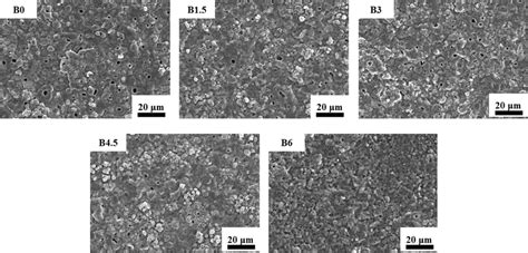Surface Morphologies Of The Peo Coatings Grown By Different Borax