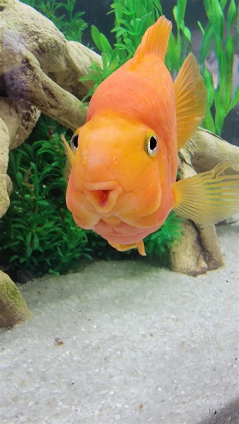 Dan Esterline Dan Esterline Added A New Photo