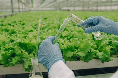 Hydroponic Nutrient Solution Monitoring And Optimization Alpha Measure
