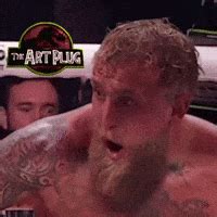 Jake Paul Memes S Find And Share On Giphy