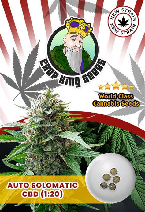 Cbd Seeds Canada Crop King Seeds