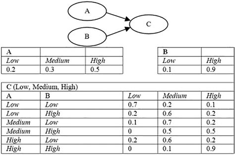 A 20‐year Mapping Of Bayesian Belief Networks In Software Project