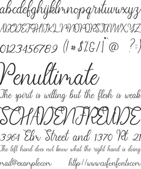 Dianascript Font Download Free For Desktop And Webfont