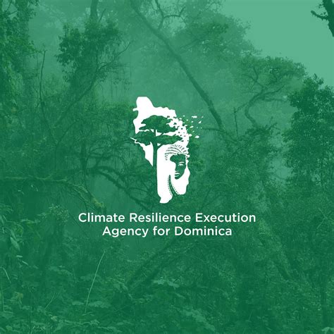 Cread To Create Comprehensive Database For Dominicas Msmes Writeups 24 Caribbean News And