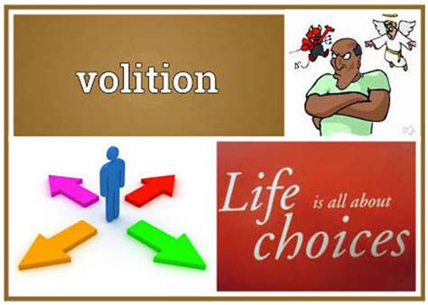 Volition Training Volition Management