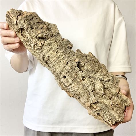 Yahoo オークション 【k4079】最高品質 コルク樹皮 エアプランツ チ