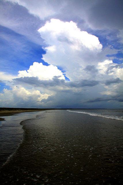 Cumberland Island Beach St Marys Ga 023