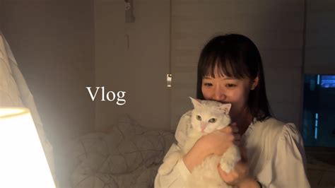 Vlog 남들이 시켜서 하는 브이로그 집사일상 Youtube