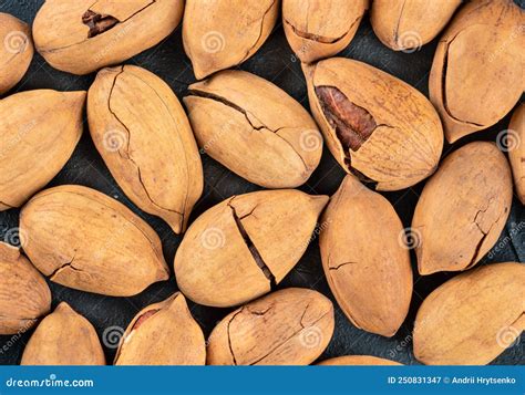 Pecan Nut In Shell Stock Image Image Of Large Horizontal 250831347