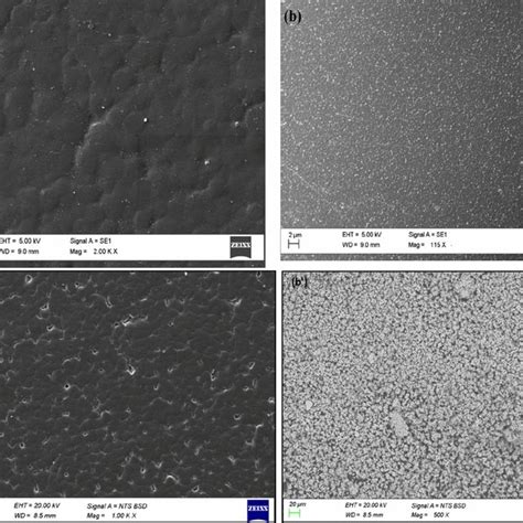 Xrd Pattern Of A Neat Nanbo3 Nn Particles And B Pmmannstarch