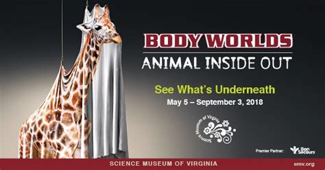 Brian Sciberras Sciberrasbrian Twitter