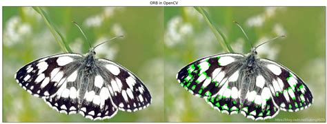 python opencv：orb an efficient alternative to sift or surf python orb
