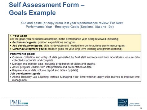 Self Performance Review Goals Examples