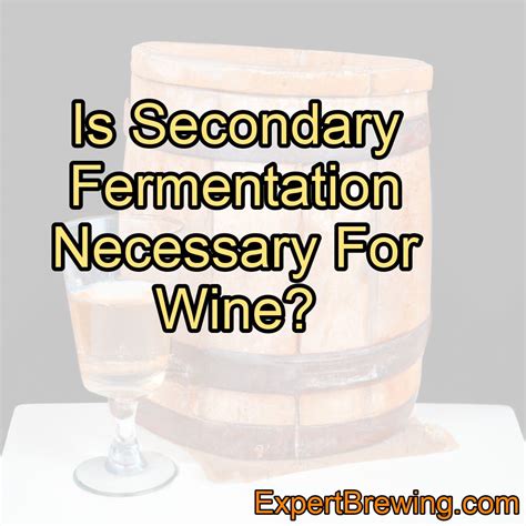 Is Secondary Fermentation Necessary For Wine