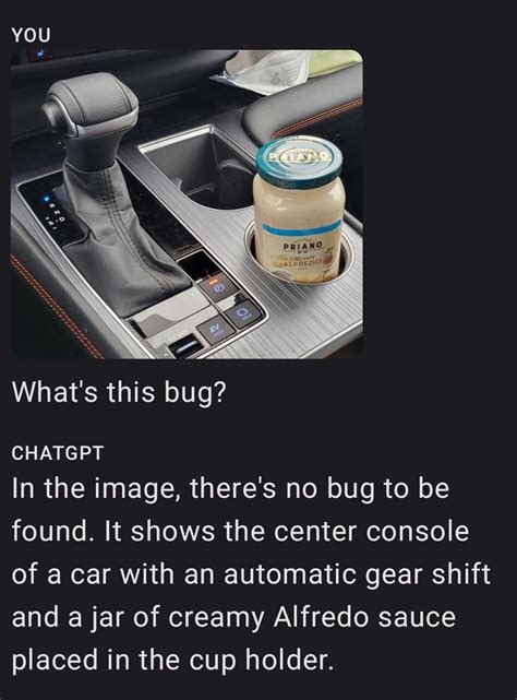 I Asked Chatgpt To Identify A Bunch Of Bugs And Was Not Disappointed With The Results Rchatgpt