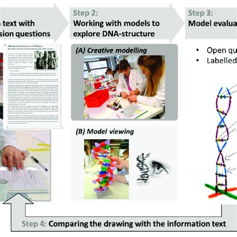 Overview Of Student Activities In The Model Phase Download
