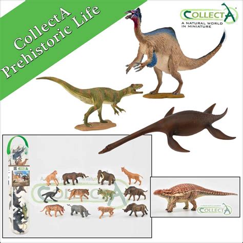 Collecta Prehistoric Life Collection