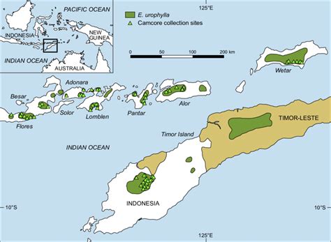 Geographic Range Of Eucalyptus Urophylla With Camcore Collection Sites