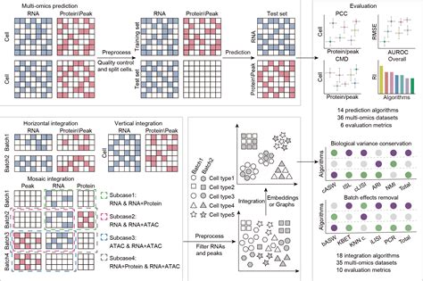 Benchmarking Algorithms For Single Cell Multi Omics Prediction And