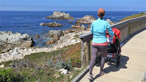 Best Off Road Stroller Brands Of 2021 Reviews And Comparisons A Reluctant Mom