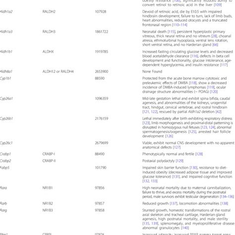 Mouse Phenotypes For Genes Involved In The Retinoic Acid Synthesis