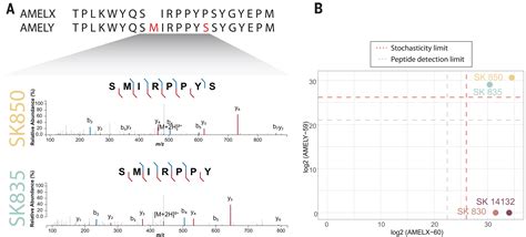 Enamel Proteins Reveal Biological Sex And Genetic Variability In
