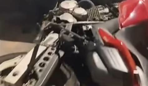 Felipe Leonel Bodynho Vaquinhas Online