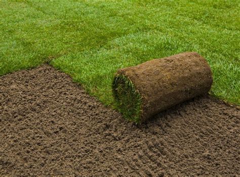 Roll On Lawn Grass Lawn Installation Quick List Quick List