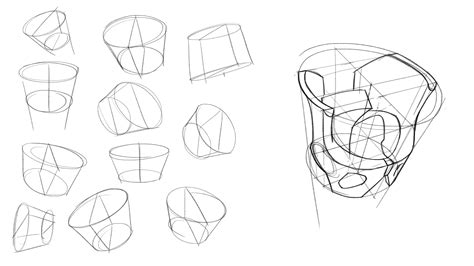 Proko Pelvis Assignment Proko Pelvis Assignment