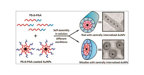 Controlled Incorporation Of Particles Into The Central Portion Of Block Copolymer Rods And