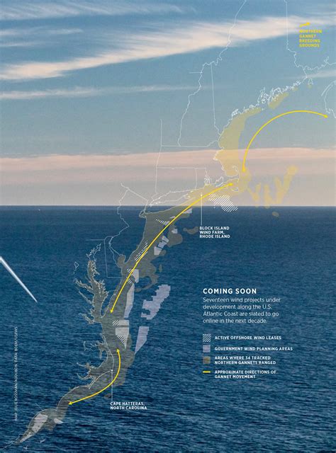 Offshore Wind Map For Audubon Magazine — Julie Rossman