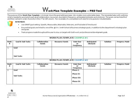 Goal Oriented Work Plan Template For Your Needs