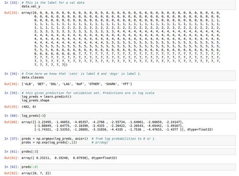 Understanding Softmax Probabilities Output On A Multi Class Classification Problem Beginner