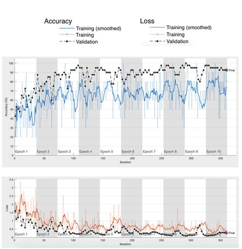 Graph Showing Validation Accuracy And Loss Download Scientific Diagram