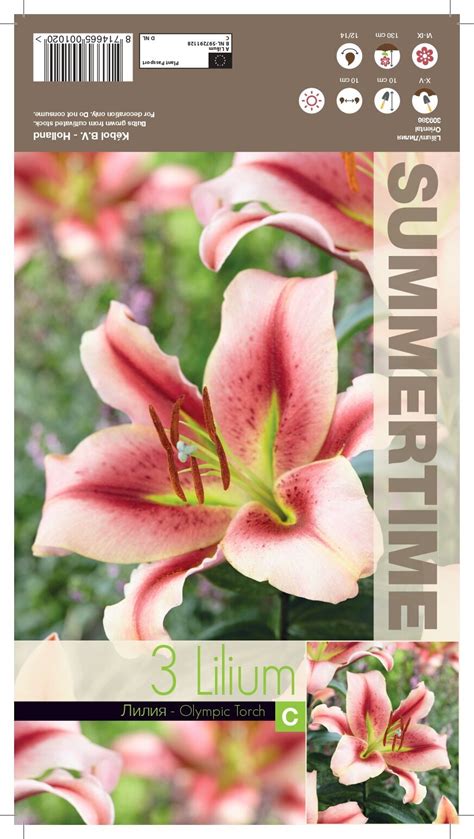 Lilijas Olympic Torch Cena 220lv