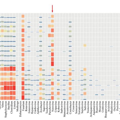 Species Distribution Heatmap Of Effective Reads Of The Trace Seq Method Download Scientific