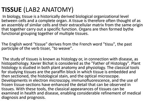 Solution Summary Of Tissue Types Studypool