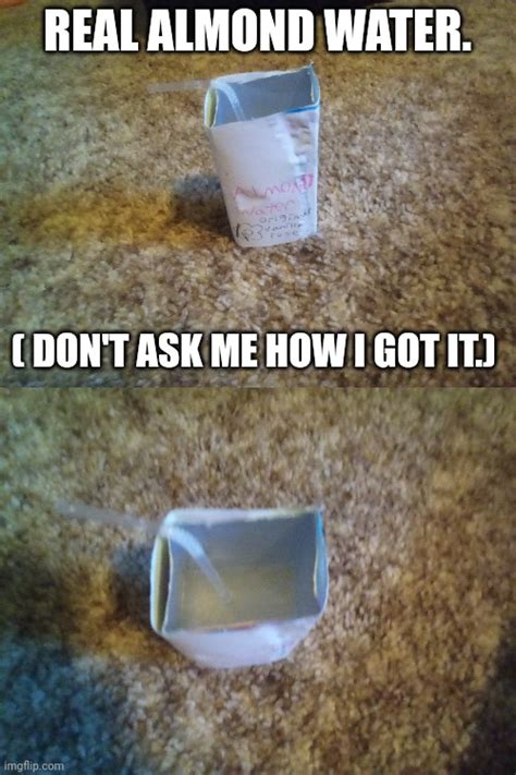 I Got Almond Water And I Just Wanted To Show You Guys Imgflip