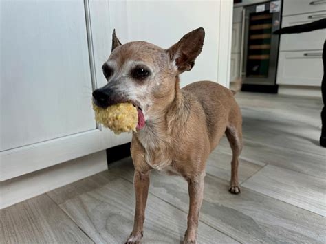 Danielle Murr Danielle Murr Added A New Photo