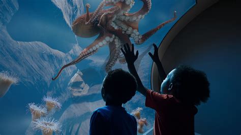Birch Aquarium Reopens With Three New Experiences Living Seas