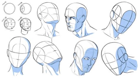 Draw A Head Reference Drawing Heads Sketches Human Figure Drawing