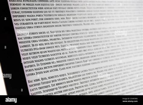 Lorem Ipsum Text On A Computer Screen A Placeholder For Text Used To