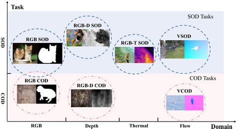 Vscode General Visual Salient And Camouflaged Object Detection With 2d Prompt Learning Bytez