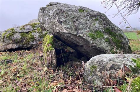 Wojciech Piotr Ozimek On Linkedin Plague Felled European Families Long Before The Black Death