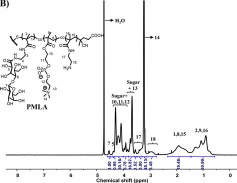 Correction To Dual Cross Linked Network Hydrogels With Multiresponsive Self Healing And Shear